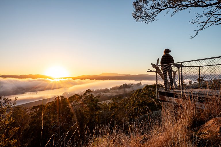 Council's AI community strategic plan a Tasmanian first - West Tamar ...